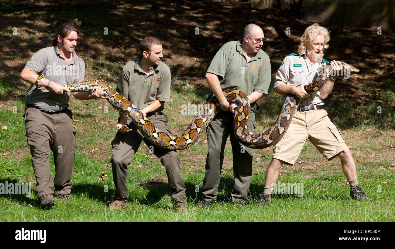 Maison de reptiles Banque de photographies et d’images à haute ...