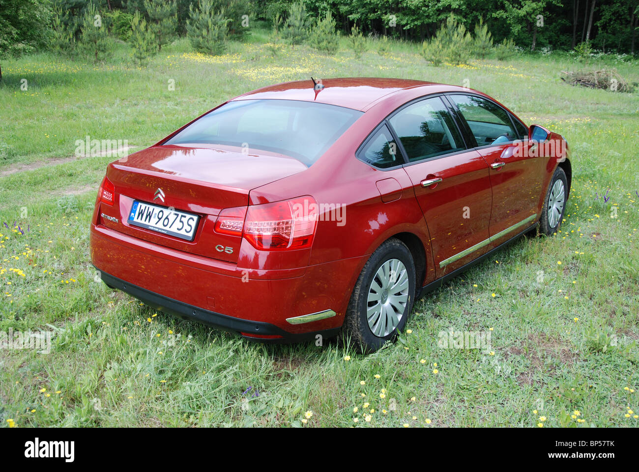 Citroen C5 2.0 HDI - MA 2008 - rouge métallique - cinq portes ...