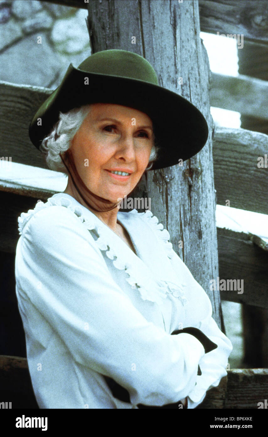 The Thorn Birds Banque d'image et photos - Alamy