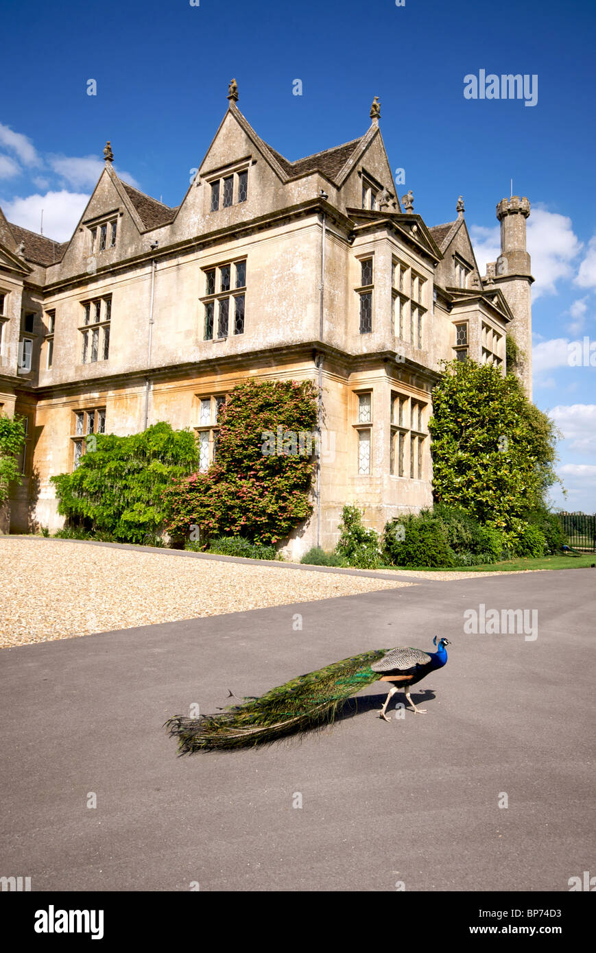 Corsham court Banque de photographies et d’images à haute résolution ...