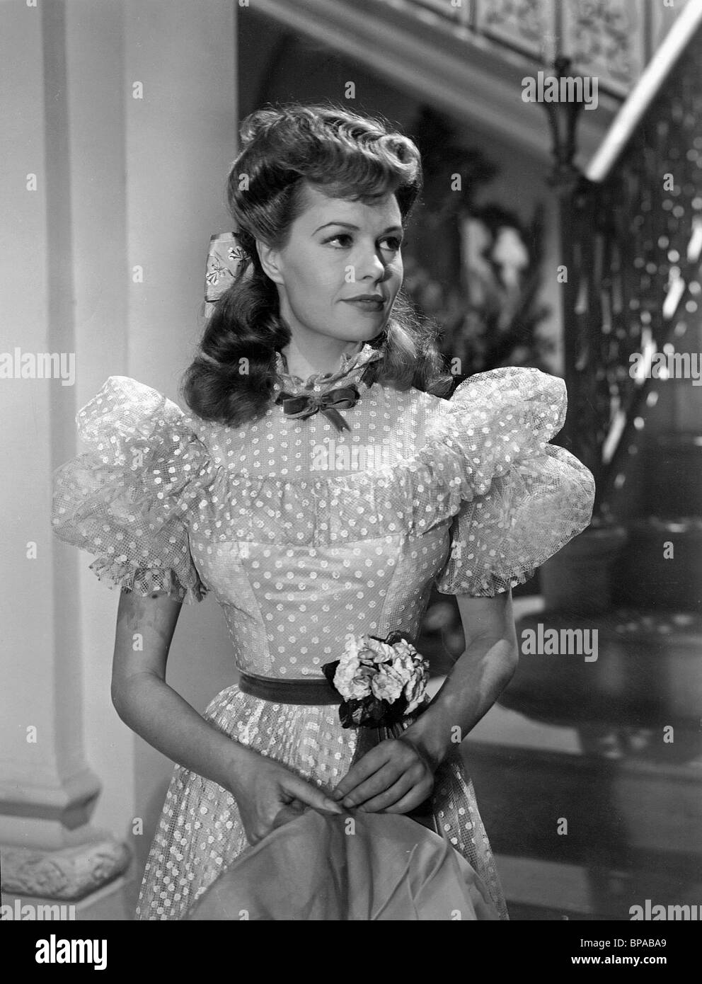 Sally gray Banque de photographies et d’images à haute résolution - Alamy