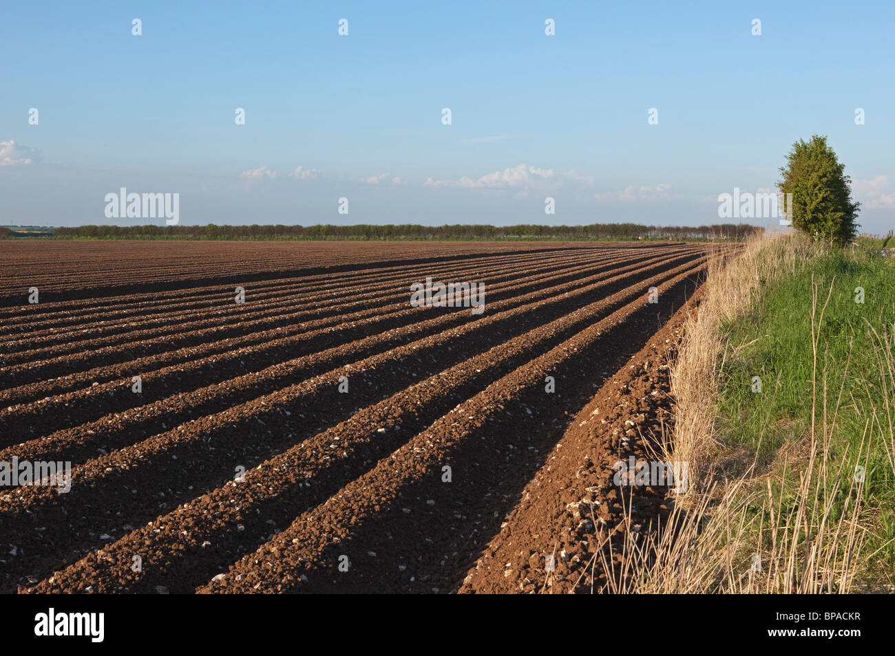 Labourer des lignes droites Banque de photographies et d’images à haute ...