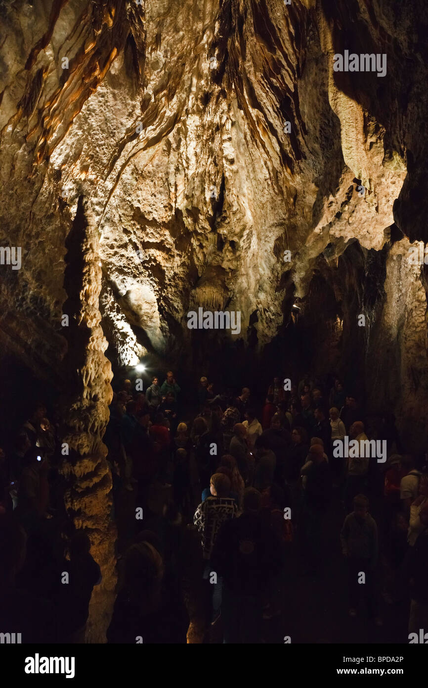 Une stalagmite, connu comme 'Le Minaret', Grottes de Han, Han sur Lesse ...