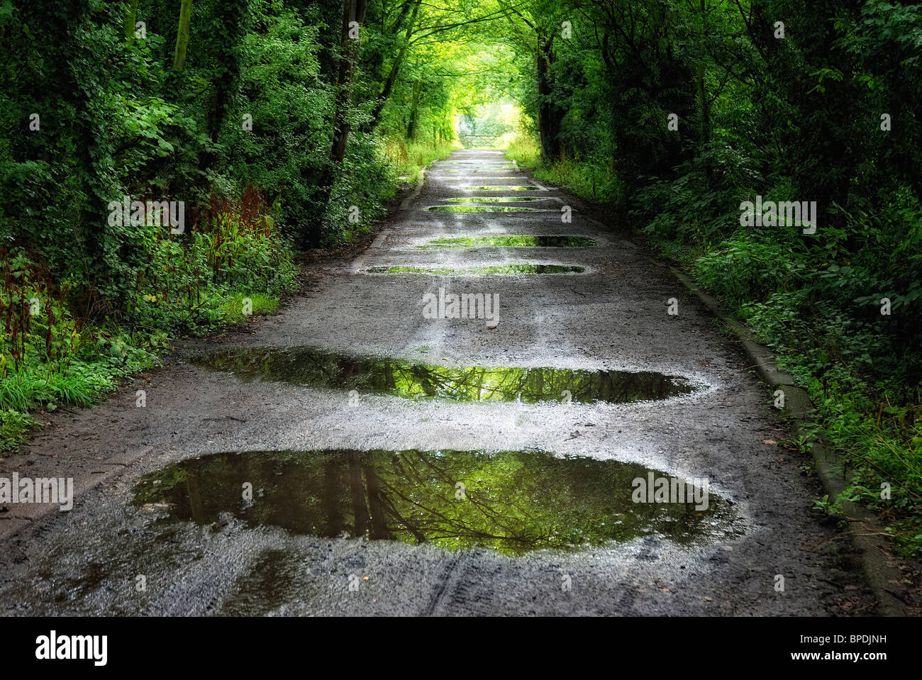 Colwick park Banque de photographies et d’images à haute résolution - Alamy