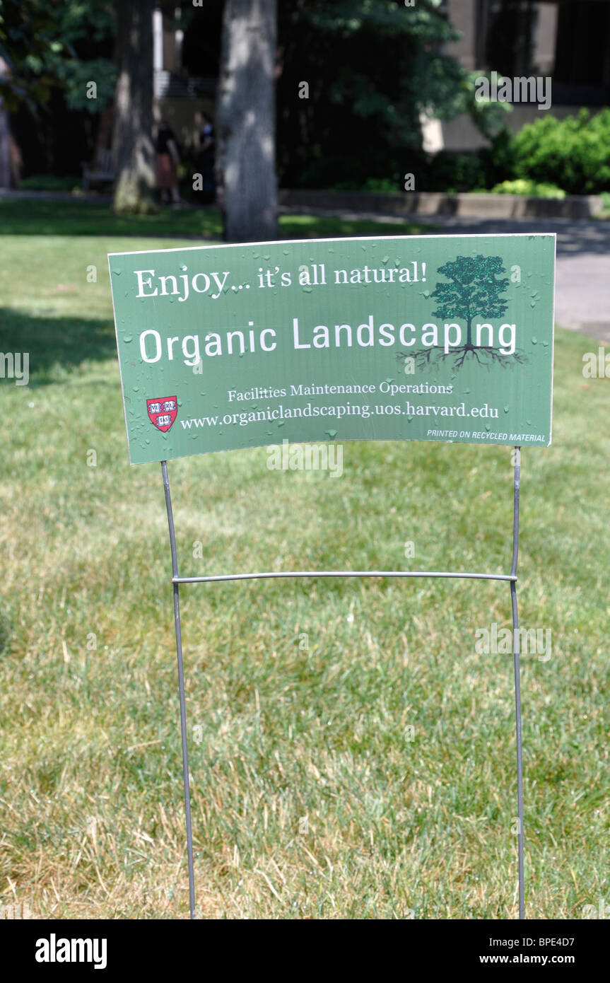 L'aménagement paysager organique signe, Harvard University, Cambridge ...