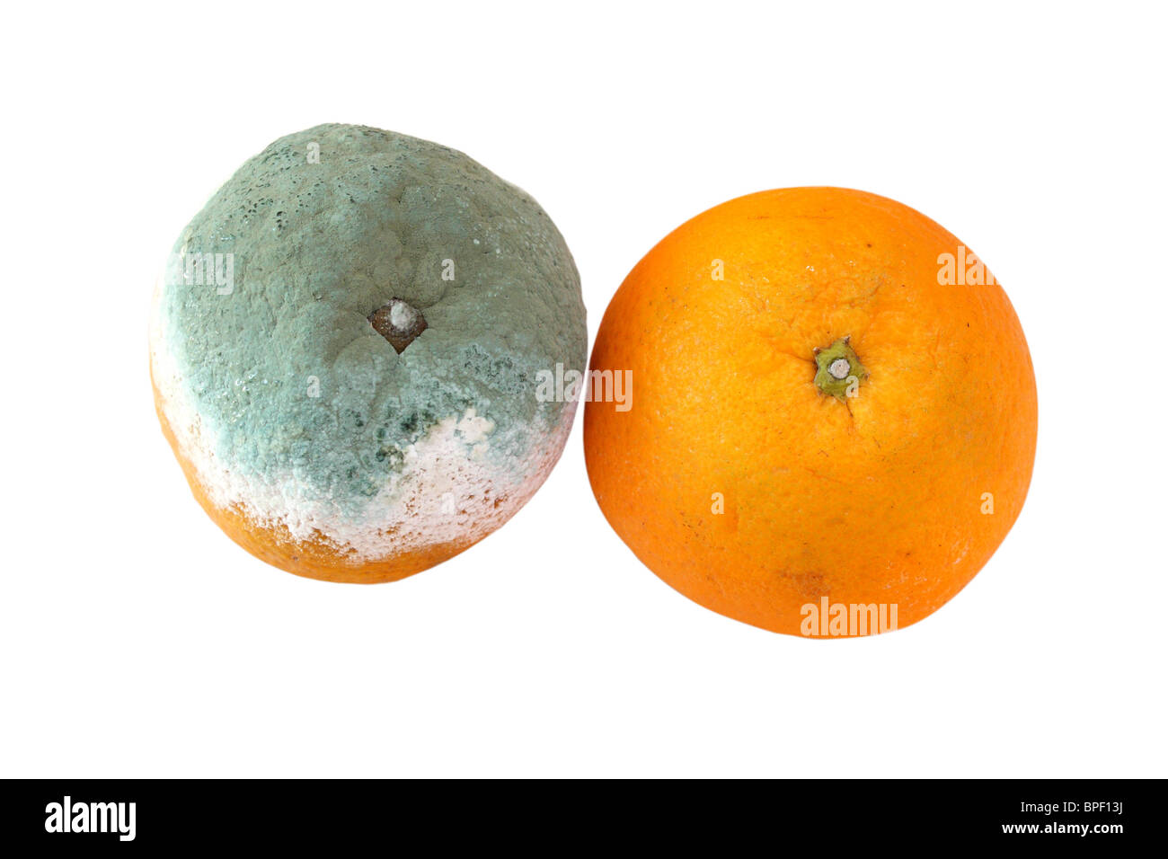 Orange Pourrie Banque d'image et photos - Alamy