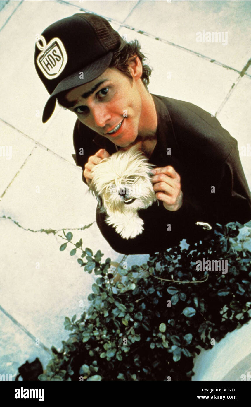 Détective Animal De Compagnie Jim Carrey Chien 1994 Banque d'image et ...