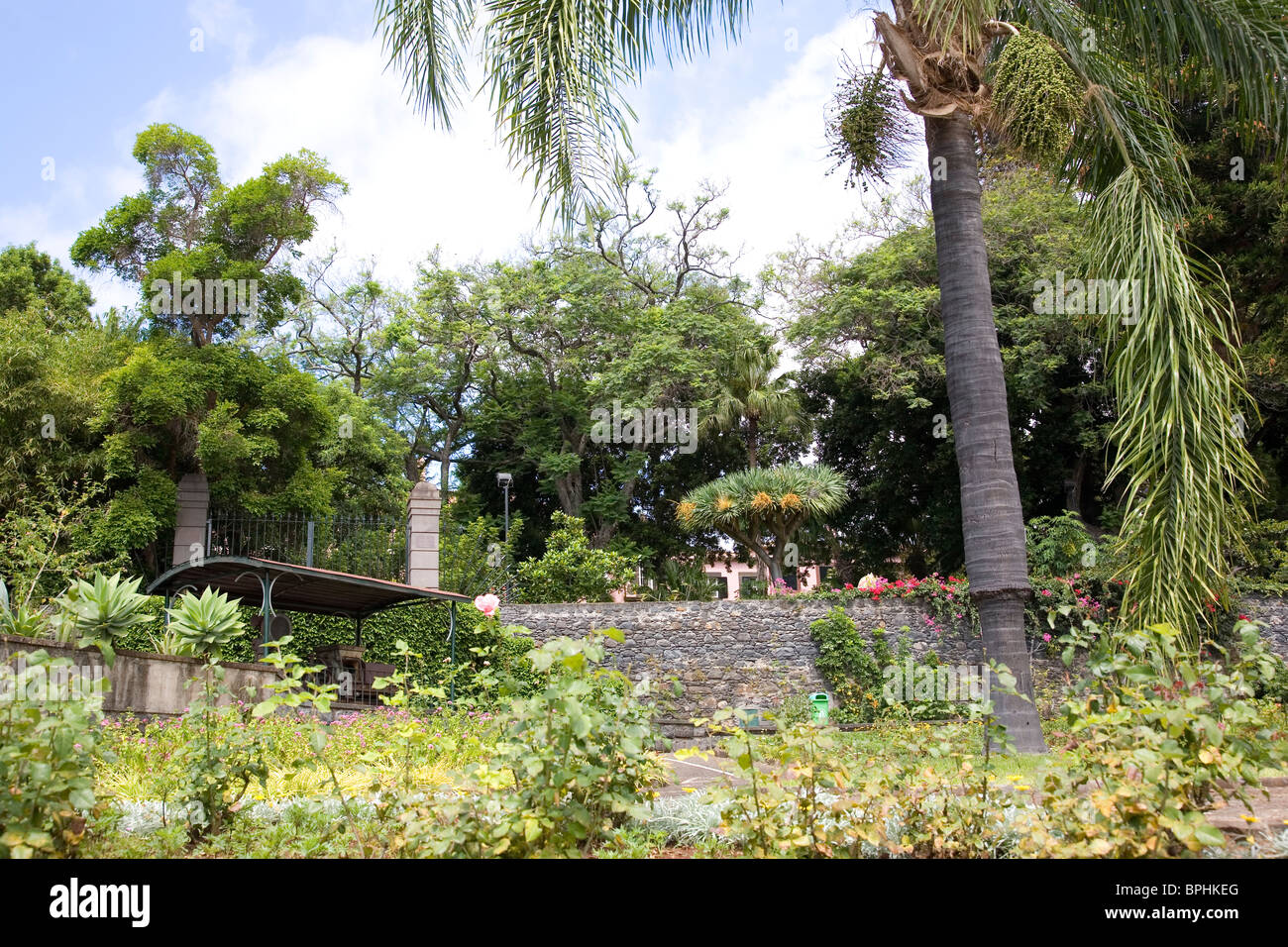 Madeira quinta vigia in funchal Banque de photographies et d’images à ...