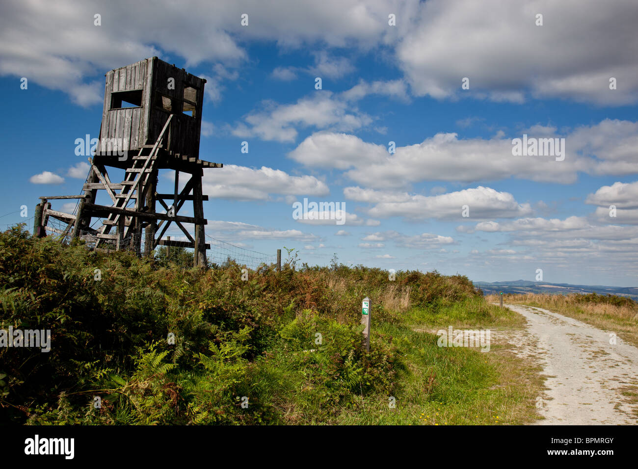Mortimer forest Banque de photographies et d’images à haute résolution ...
