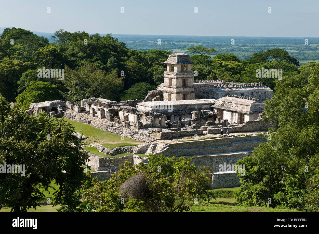Ruine maya de palenque Banque de photographies et d’images à haute résolution - Alamy