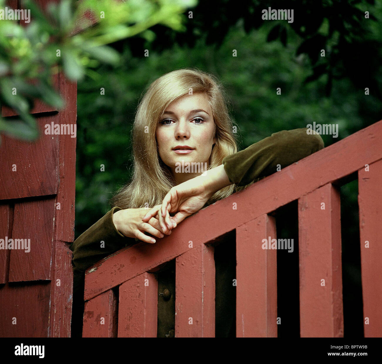 Yvette mimieux Banque de photographies et d’images à haute résolution ...