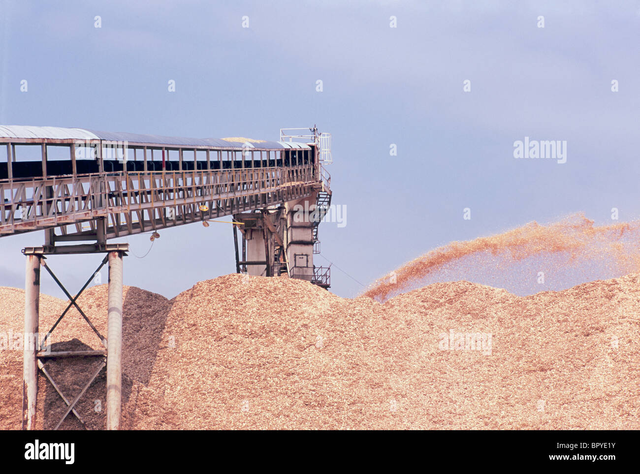 Les copeaux de bois du déchargement sur pile de stockage au Terminal de ...