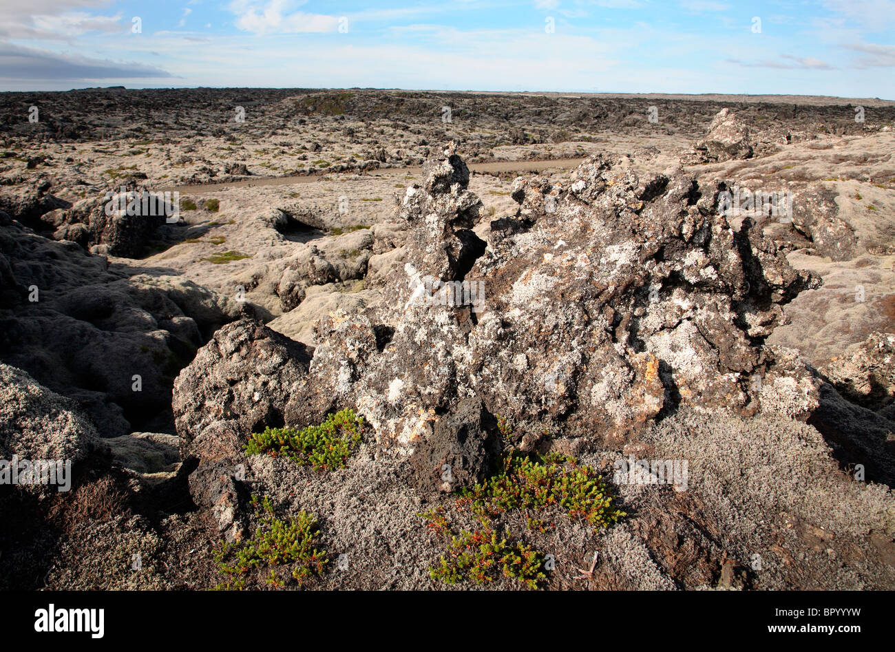Lave volcanique Banque de photographies et d’images à haute résolution ...