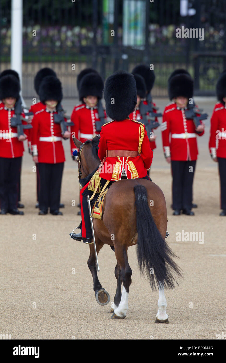Lieutenant colonel roland walker of the grenadier guards Banque de ...