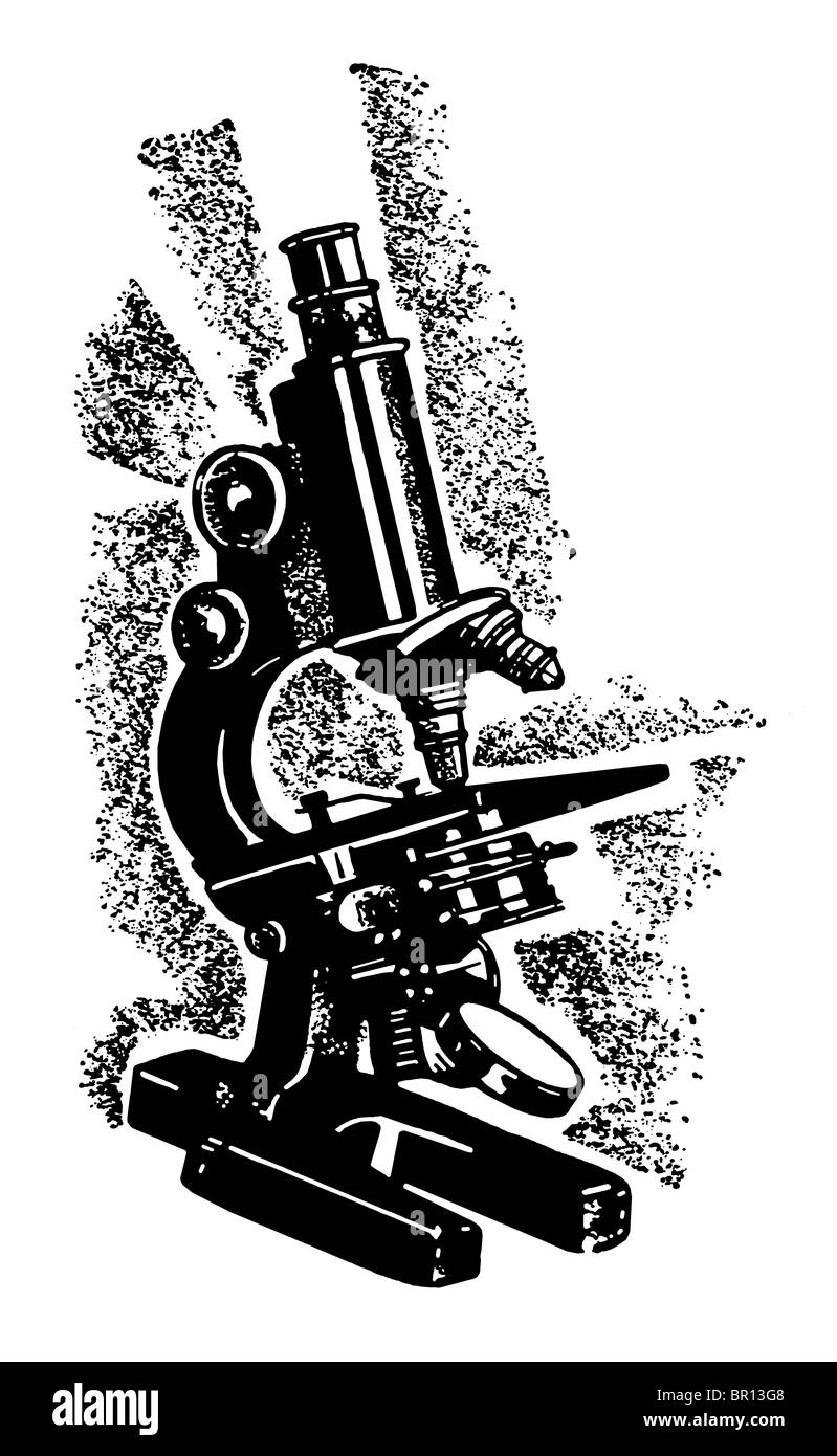 Vintage microscope drawing Banque de photographies et d’images à haute ...