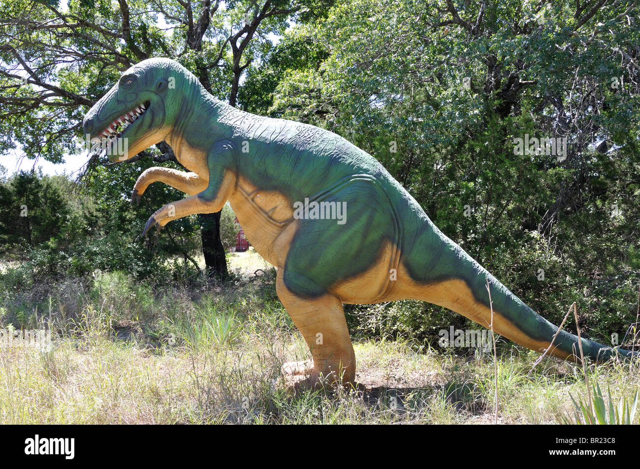 Dinosaure dinosaures dino allosaurus world museum exposition glen rose Banque de photographies ...