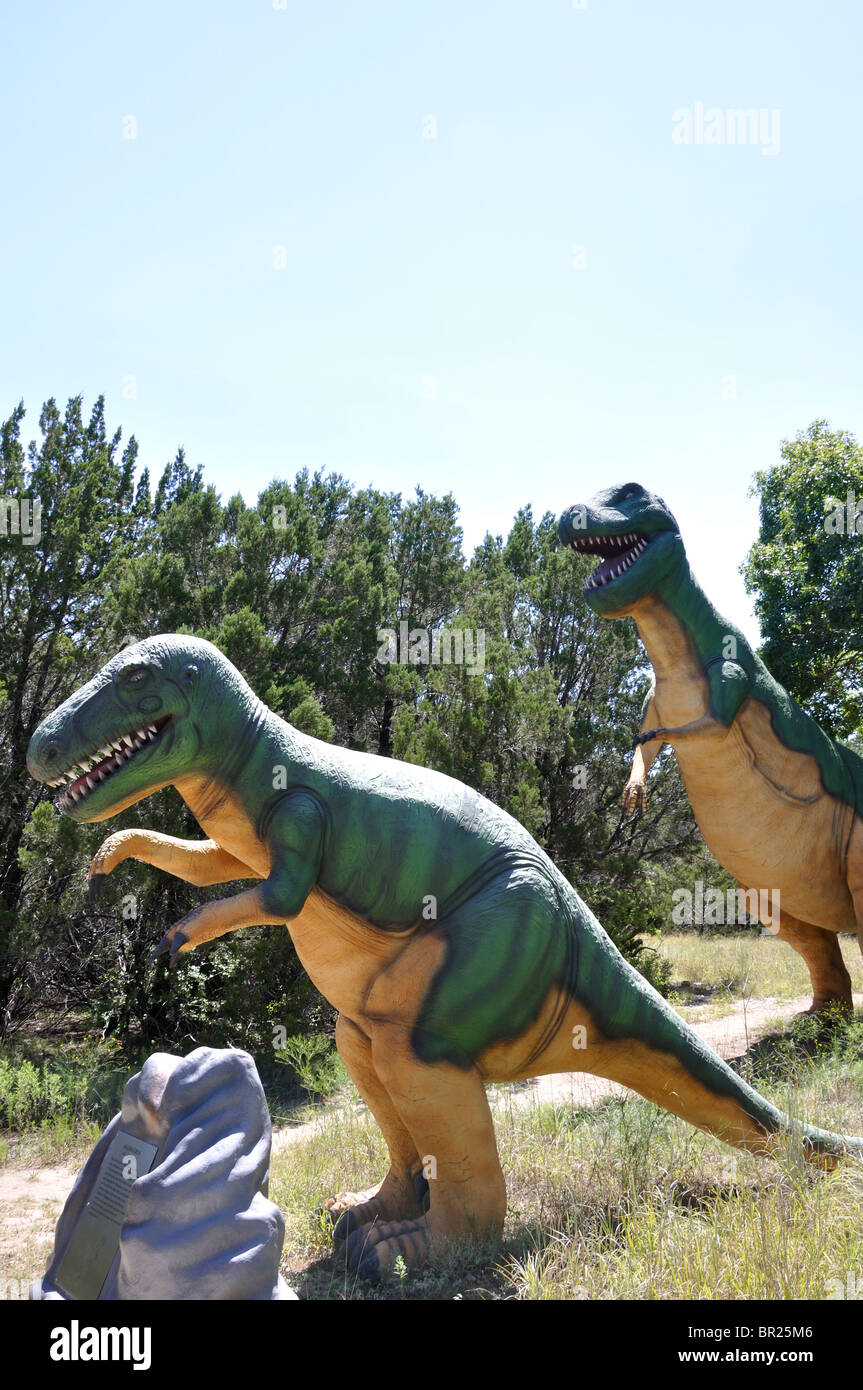 Dinosaure dinosaures dino allosaurus world museum exposition glen rose Banque de photographies ...