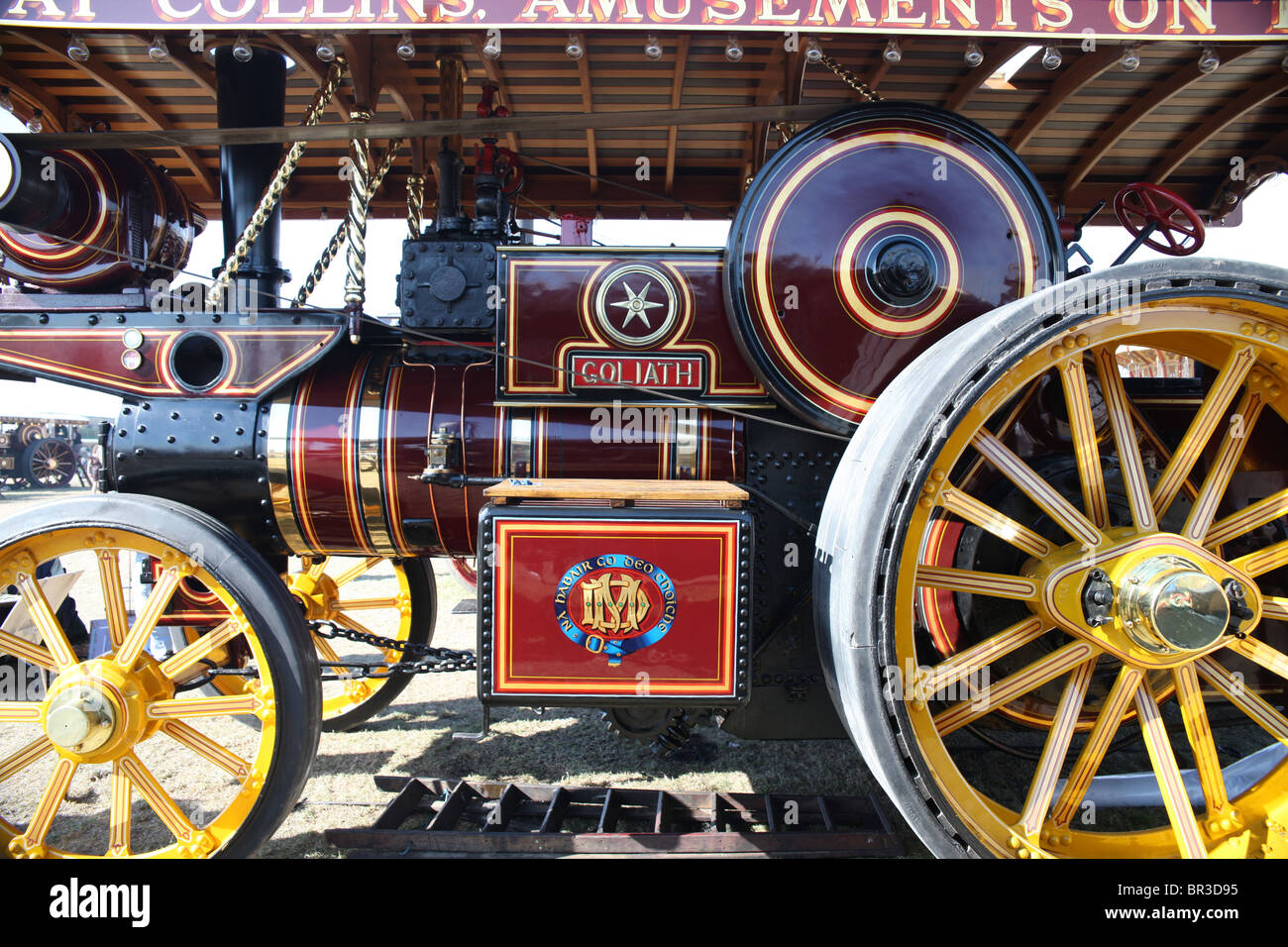 Grand goliath Banque de photographies et d’images à haute résolution ...