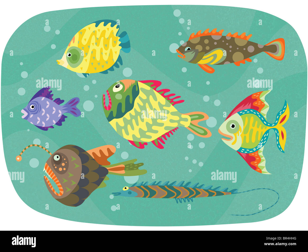 Types of fish Banque de photographies et d’images à haute résolution ...