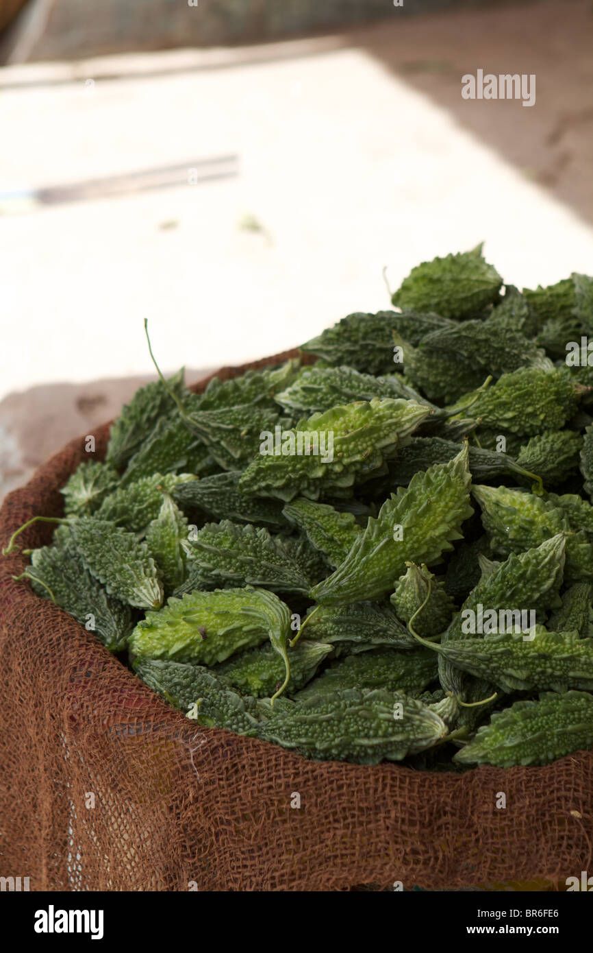Melons amers Banque de photographies et d’images à haute résolution - Alamy