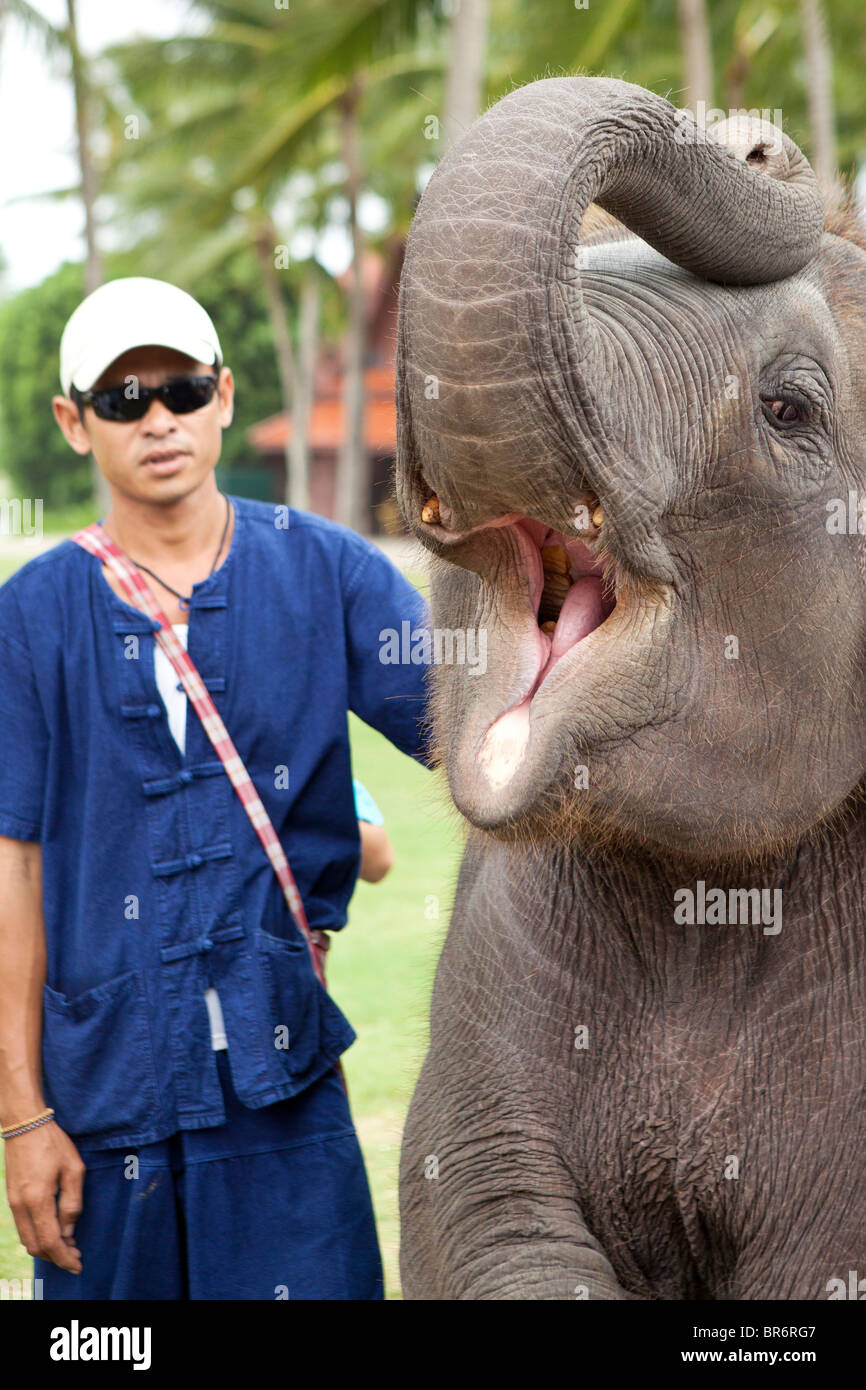 Elephant handler Banque de photographies et d’images à haute résolution ...