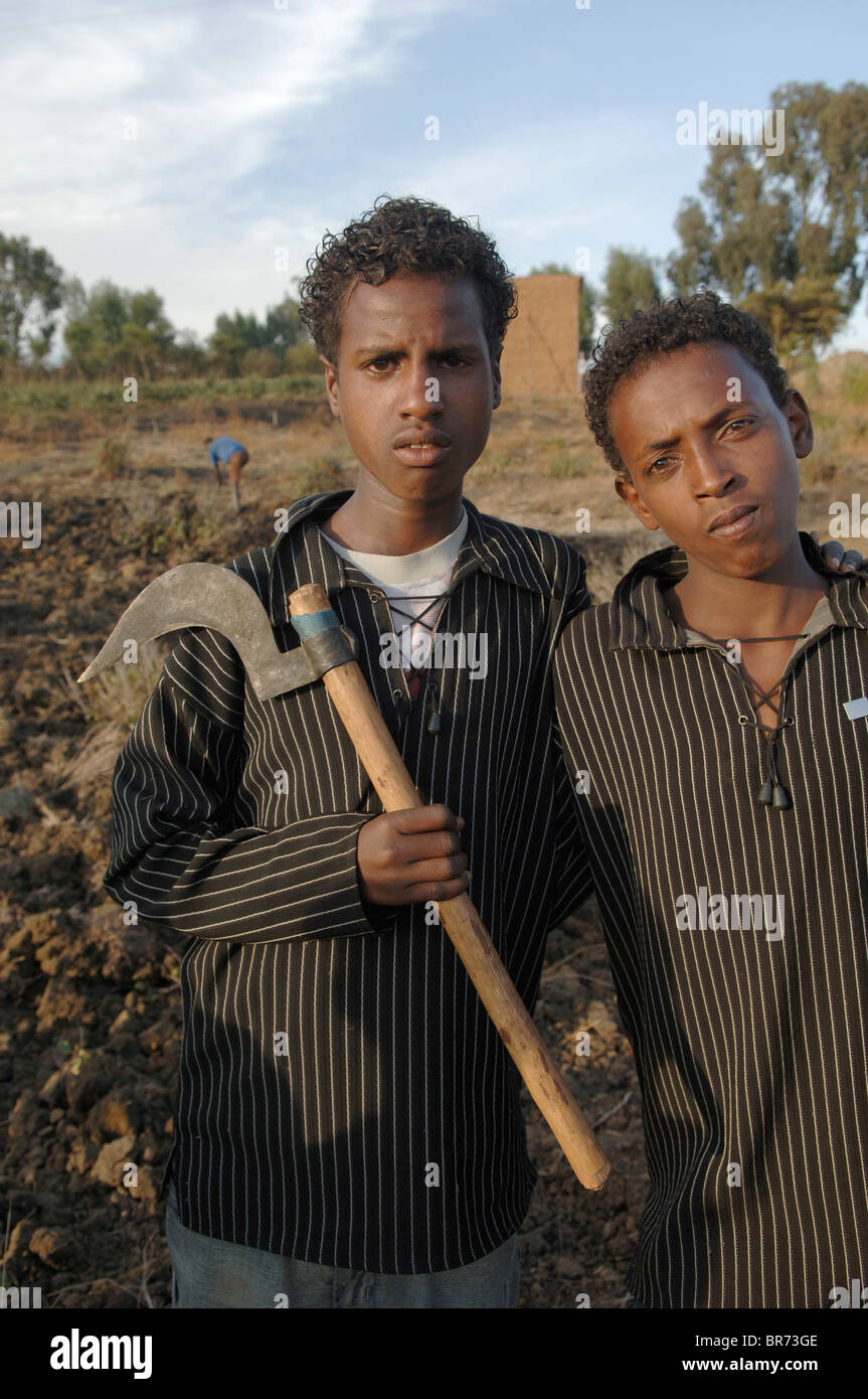 Agriculture de khat Banque de photographies et d’images à haute ...