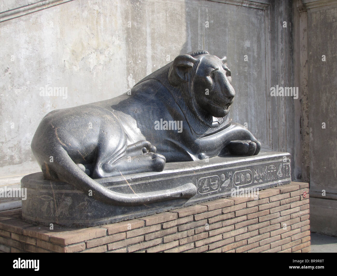 L'Italie, Rome, Musée du Vatican lion sculpture de basalte en face du ...