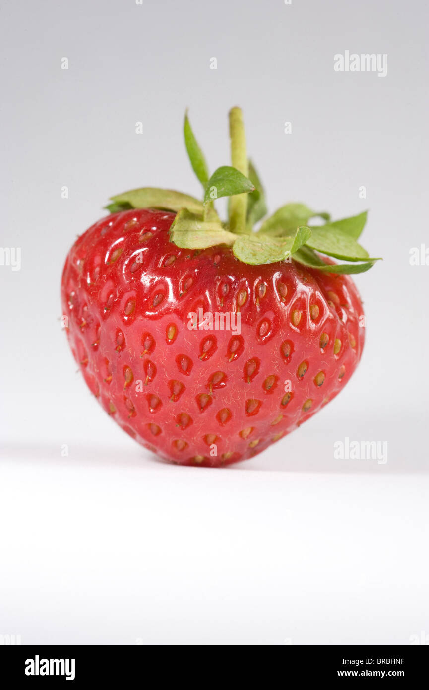 Une fraise Banque de photographies et d’images à haute résolution - Alamy