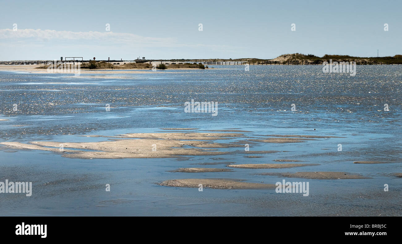 Camargue Delta Banque d'image et photos - Alamy