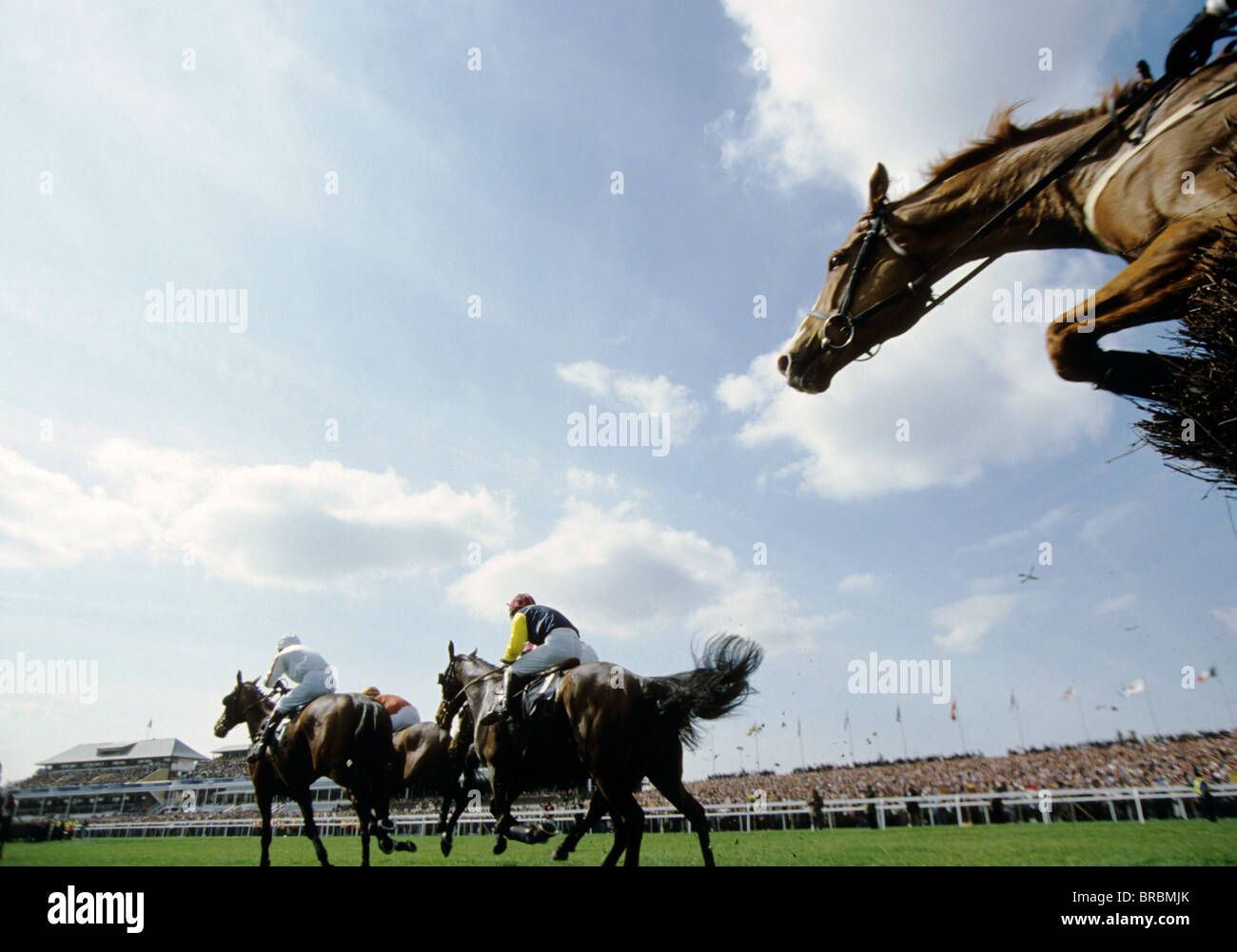 Le dernier de sa course Banque de photographies et d’images à haute ...