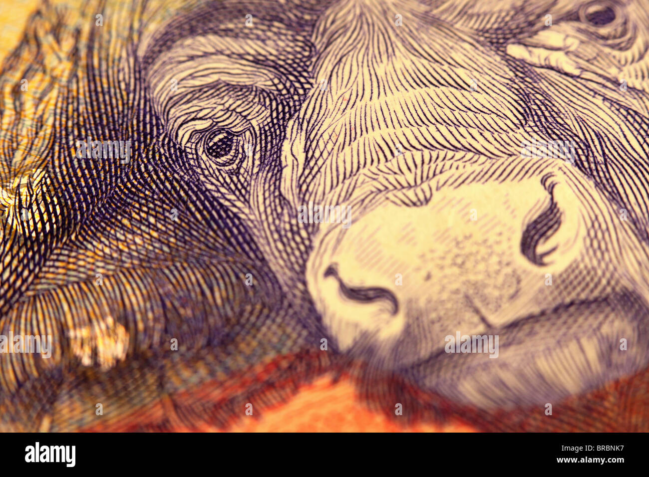 100 zar note Banque de photographies et d’images à haute résolution - Alamy