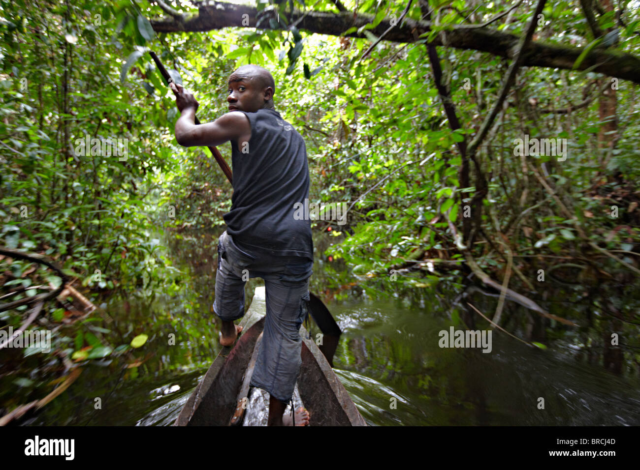 Nouabale ndoki national park Banque de photographies et d’images à ...