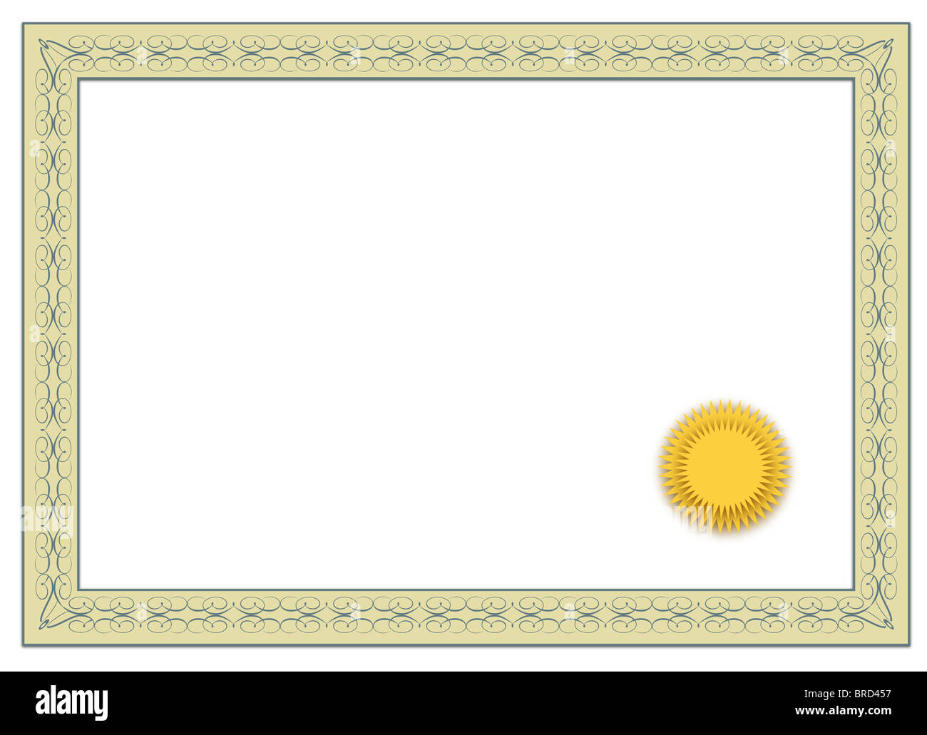 Un Diplôme Vierge Stylisée Le Tout Sur Fond Blanc Photo Stock Alamy