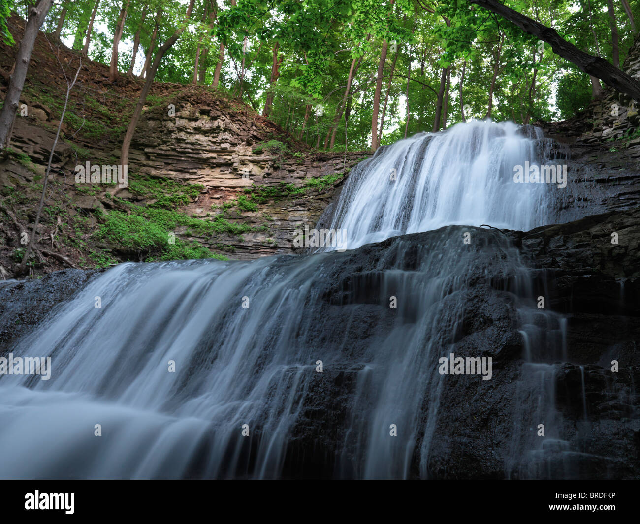 Sherman hamilton Banque de photographies et d’images à haute résolution ...