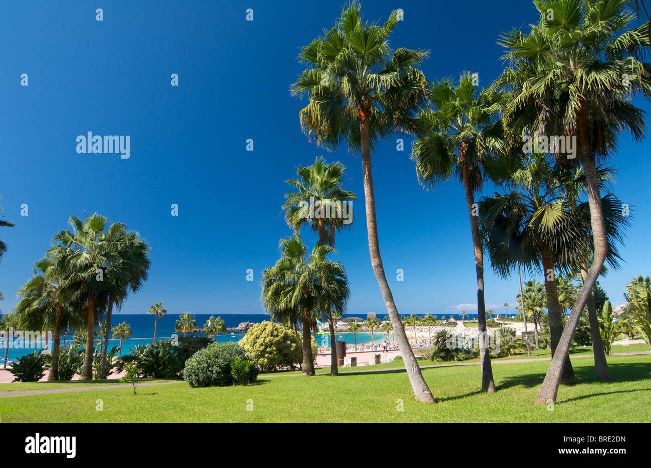 Puerto Rico à Puerto Rico, Gran Canaria, Îles Canaries, Espagne Photo ...