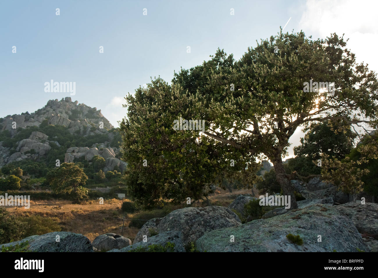 Roches solitaires Banque de photographies et d’images à haute ...