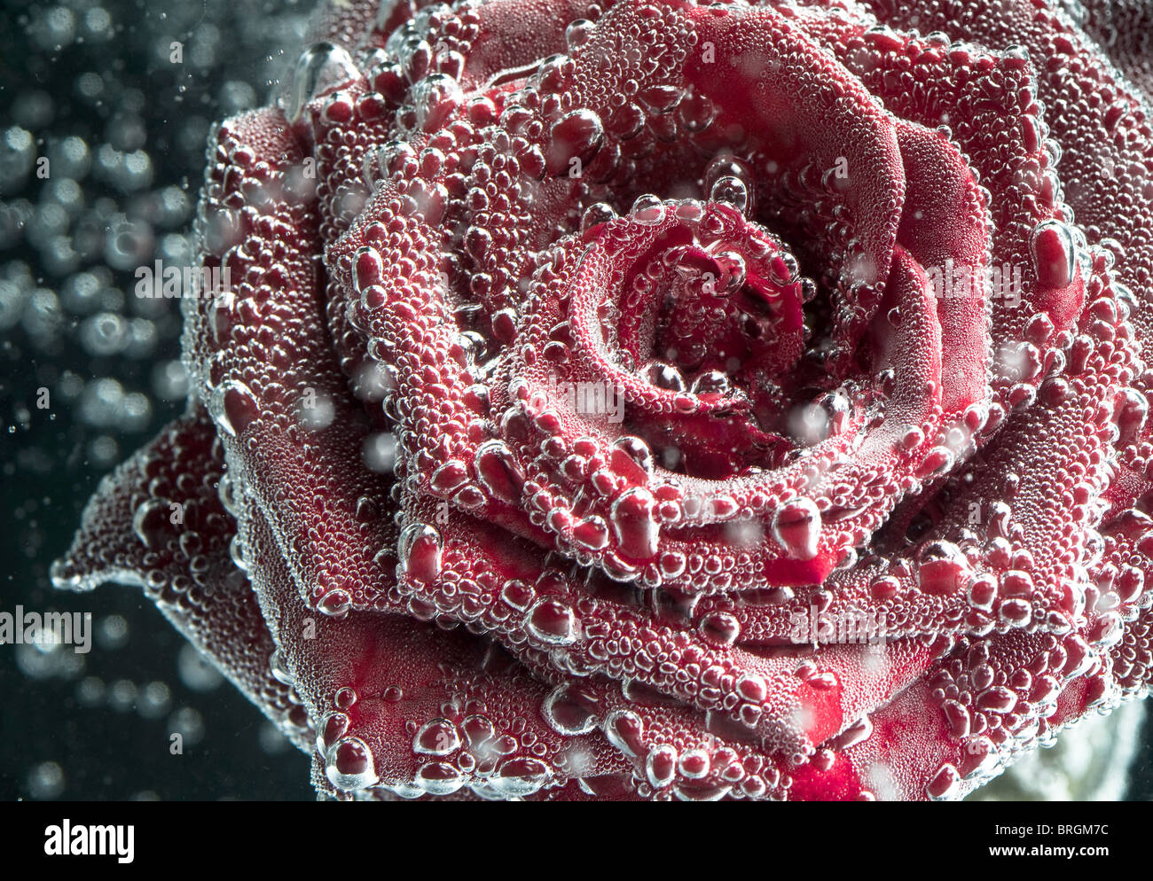 Bulle rose Banque de photographies et d’images à haute résolution - Alamy