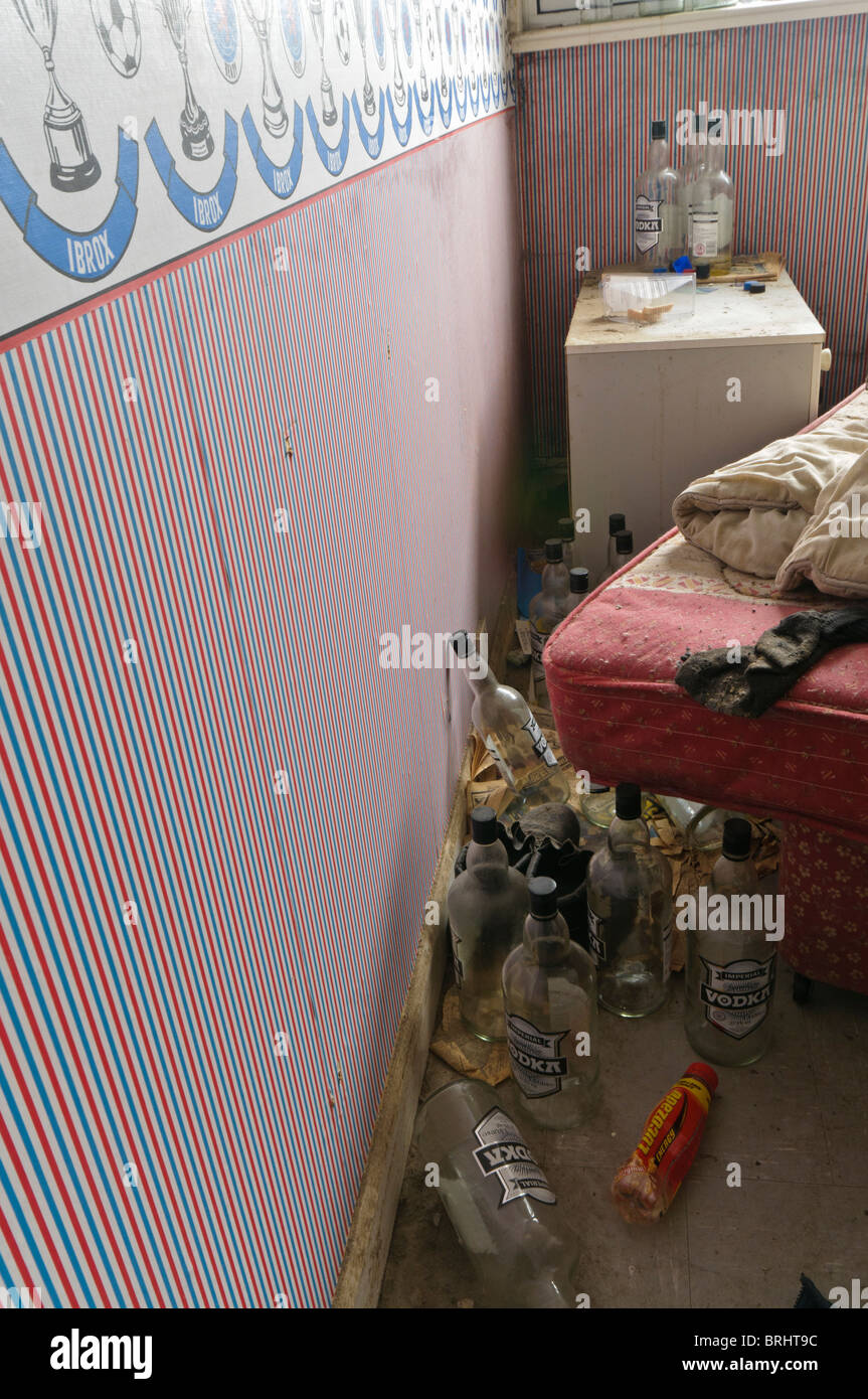 Beaucoup de bouteilles de vodka vides Banque de photographies et d ...