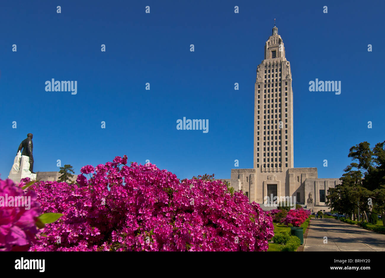 Louisiana state flower Banque de photographies et d’images à haute ...