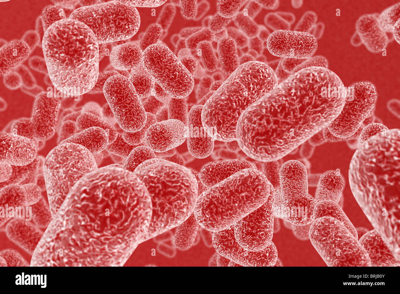 Bactéries clostridium Banque de photographies et d’images à haute ...