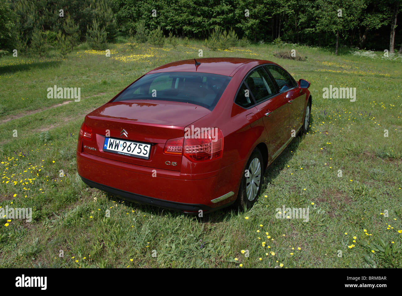 Citroen C5 2.0 HDI - MA 2008 - rouge métallique - cinq portes ...