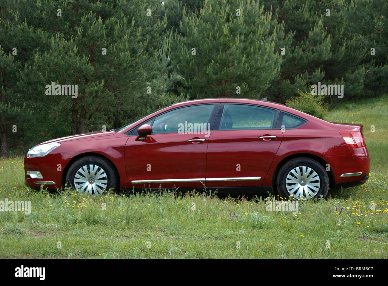 Citroen c5 rouge Banque de photographies et d’images à haute résolution ...