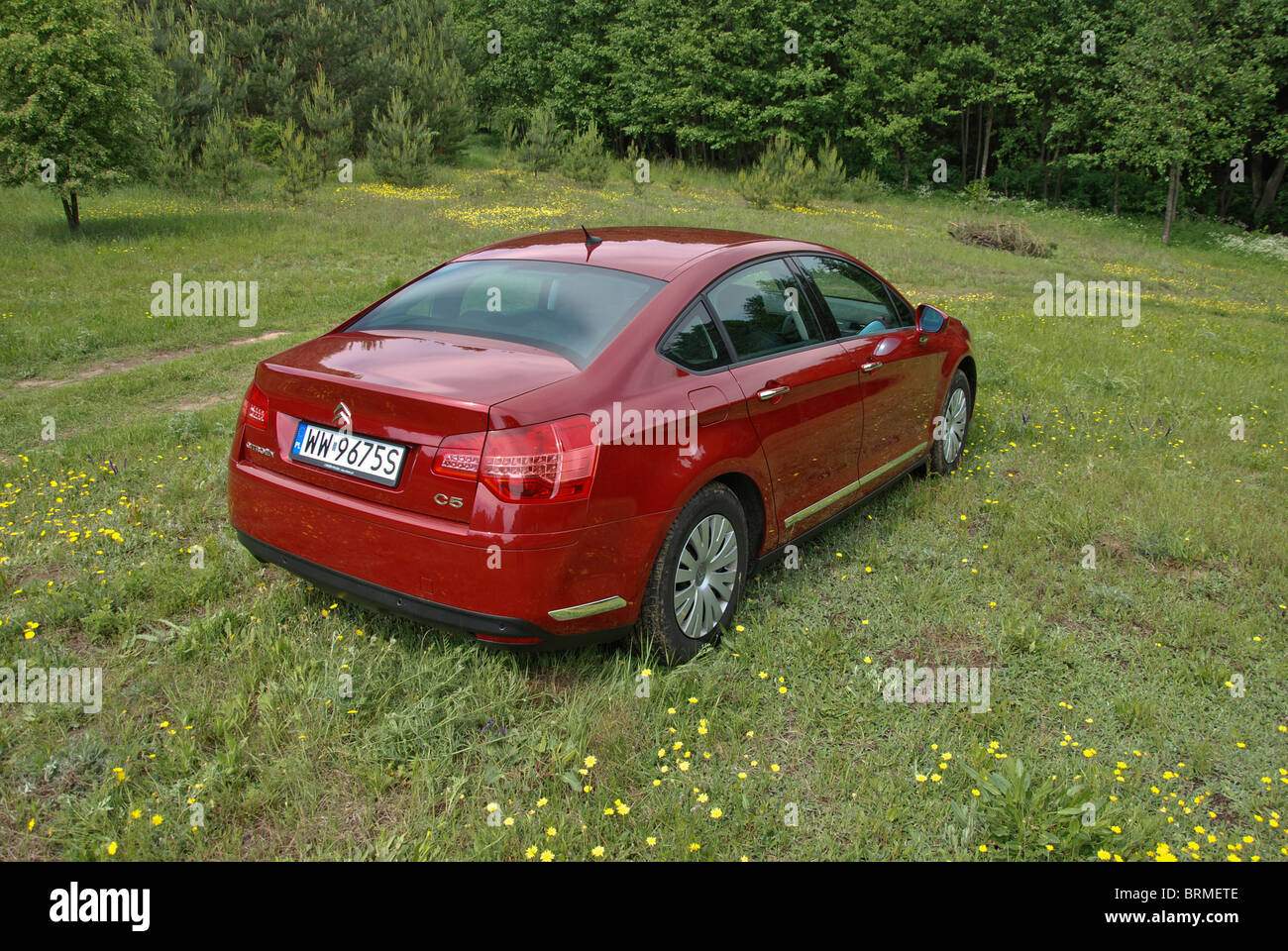Citroen C5 2.0 HDI - MA 2008 - rouge métallique - cinq portes ...