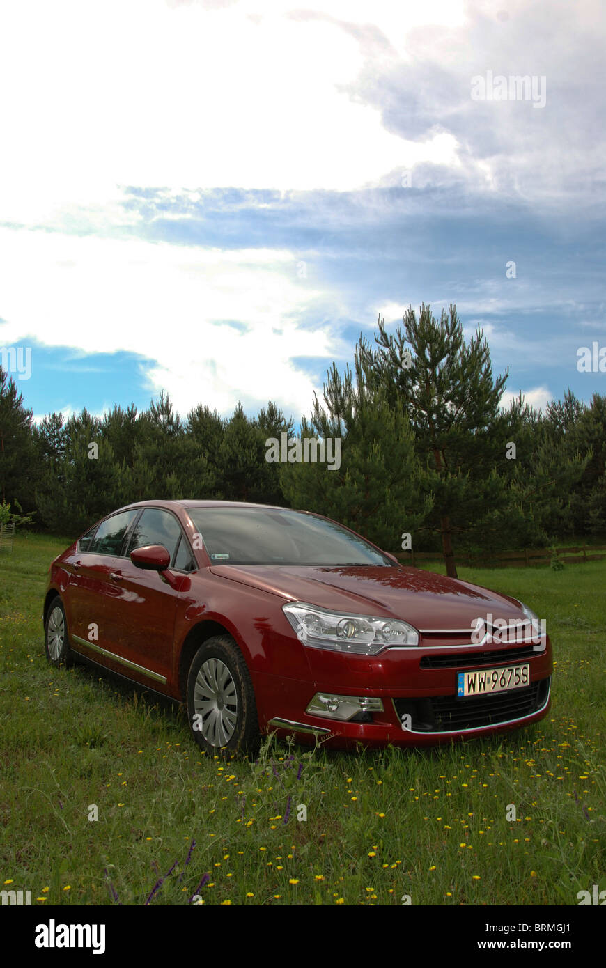 Citroen c5 rouge Banque de photographies et d’images à haute résolution ...