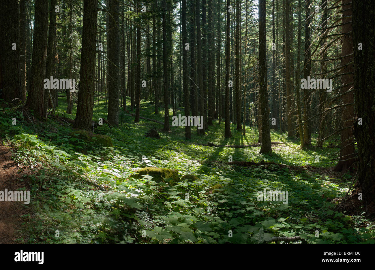 Sentier des lacs erma bell Banque de photographies et d’images à haute ...