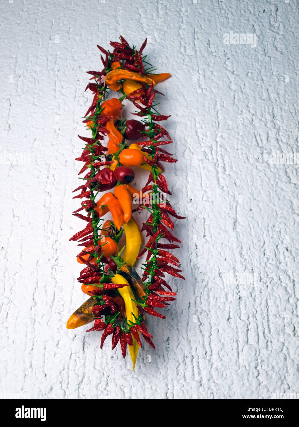 Différents types de piments séchés , accroché au mur de la cuisine ...