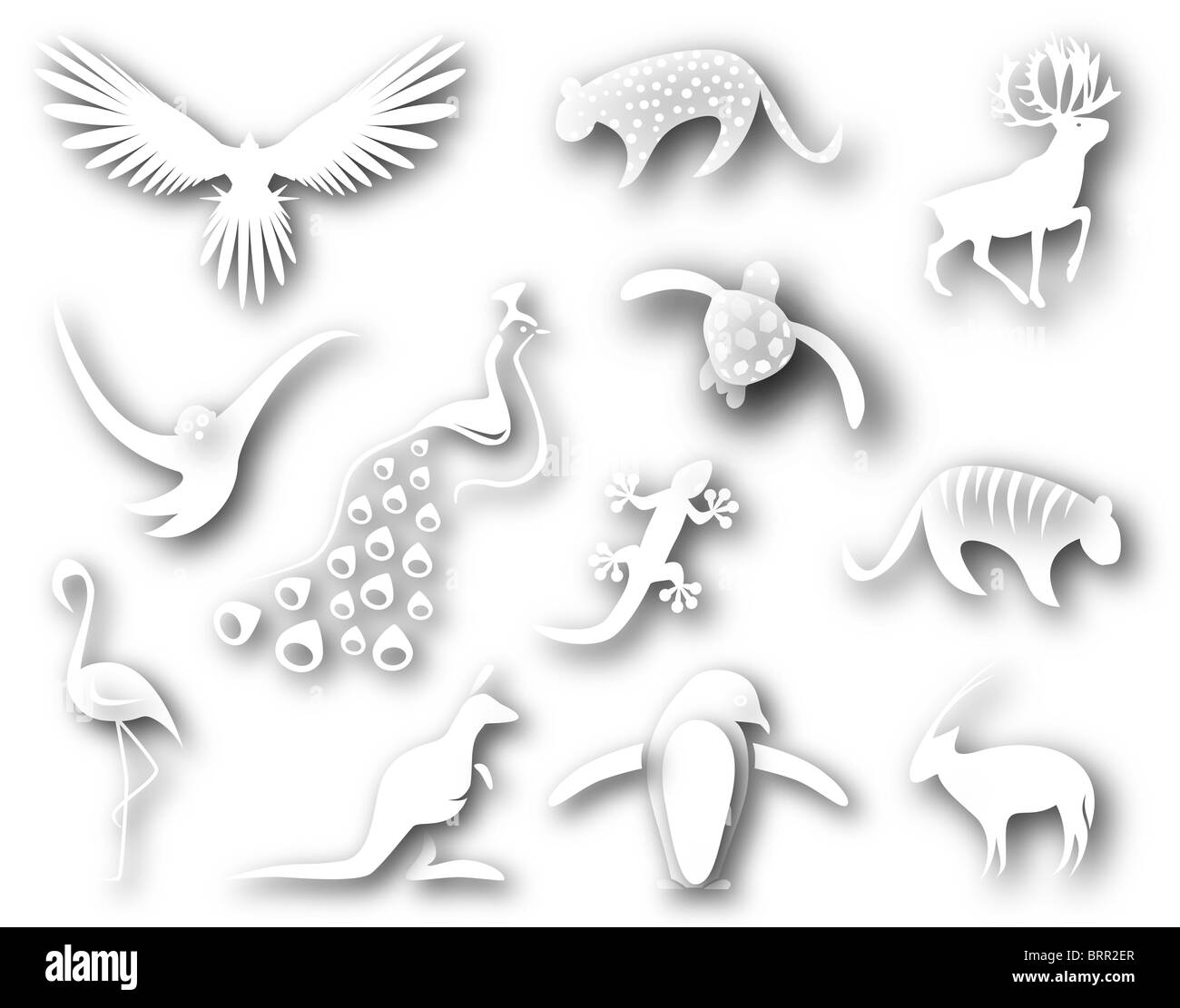 Animales de ilustración Banque d'images noir et blanc - Page 2 - Alamy