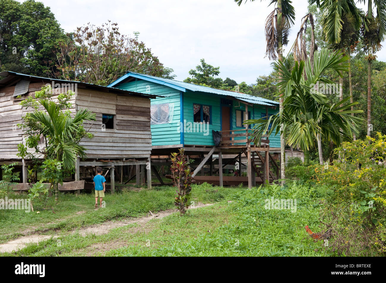 Penan village Banque de photographies et d’images à haute résolution ...
