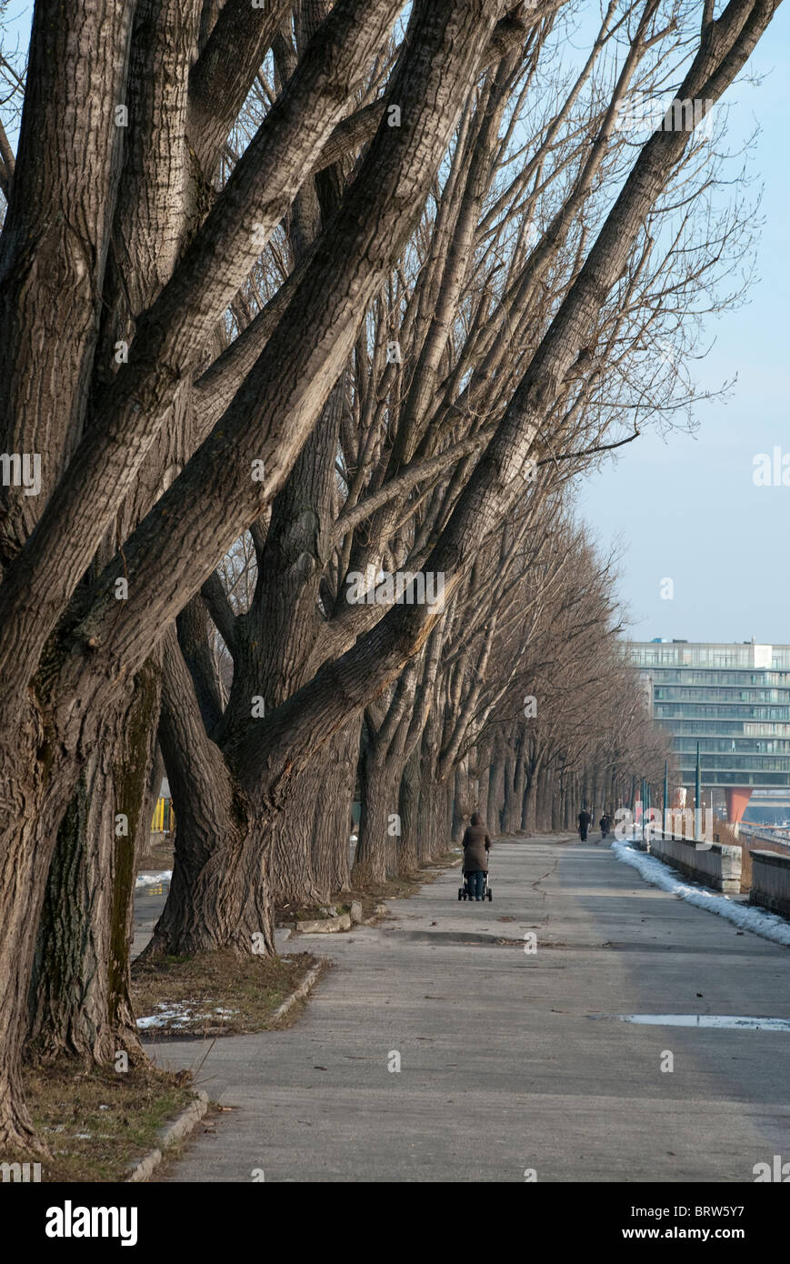 Se promener ou se promener Banque de photographies et d’images à haute ...