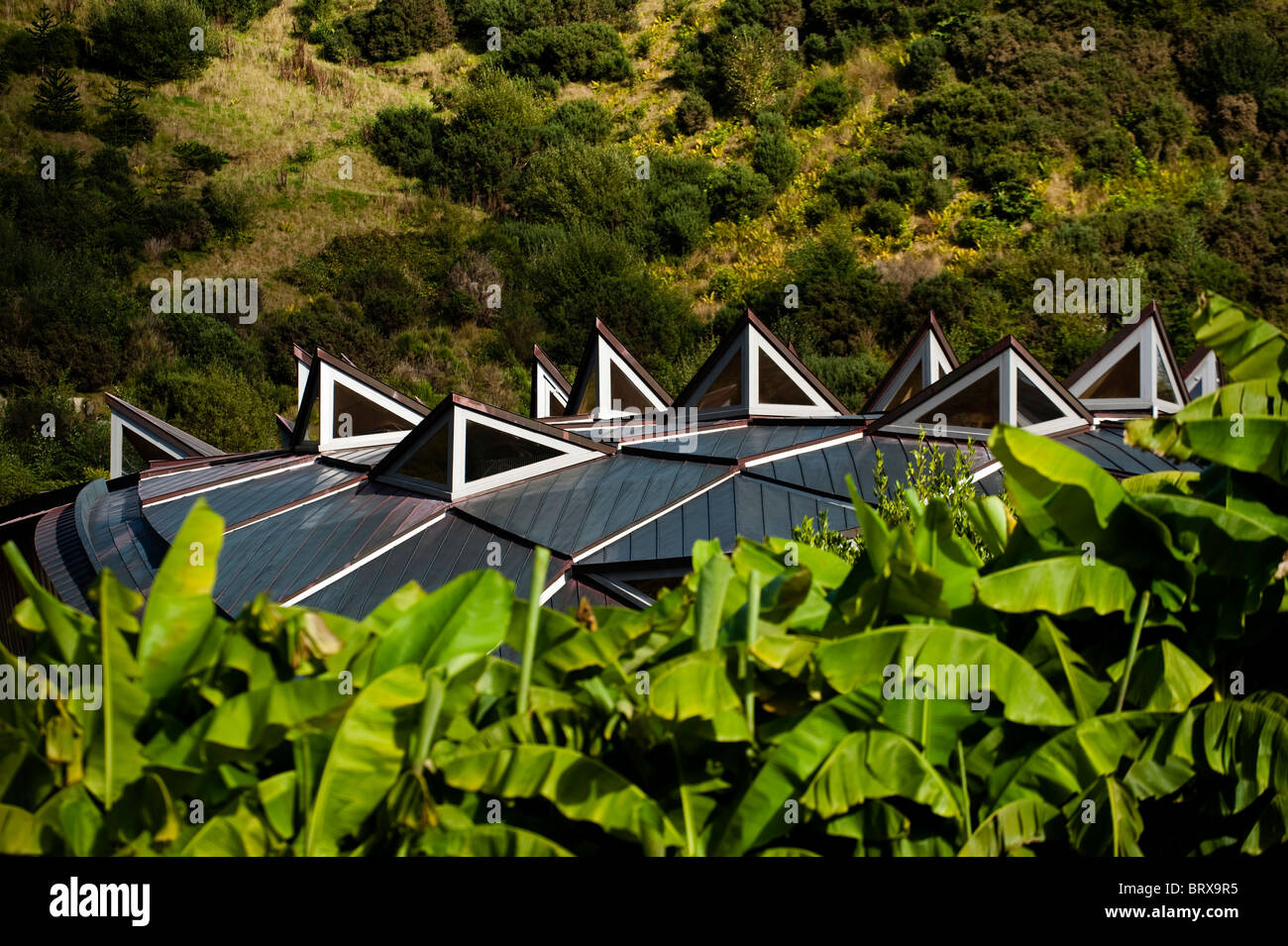Eden projet core building Banque de photographies et d’images à haute ...